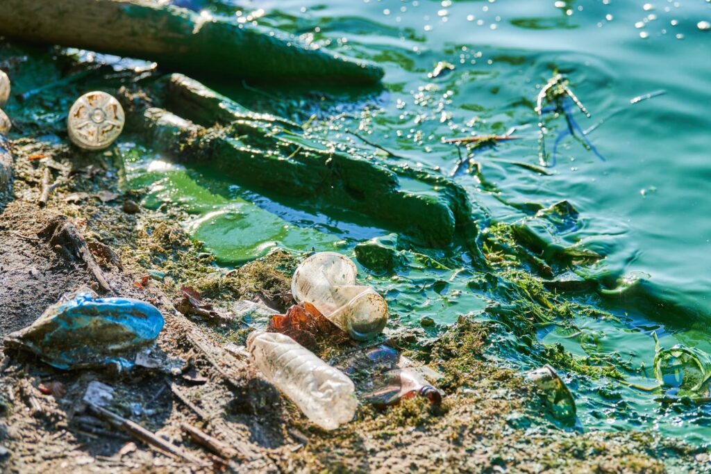 The Global Issue of Uncontrolled Littering of Plastic Waste – Magicbiomat
